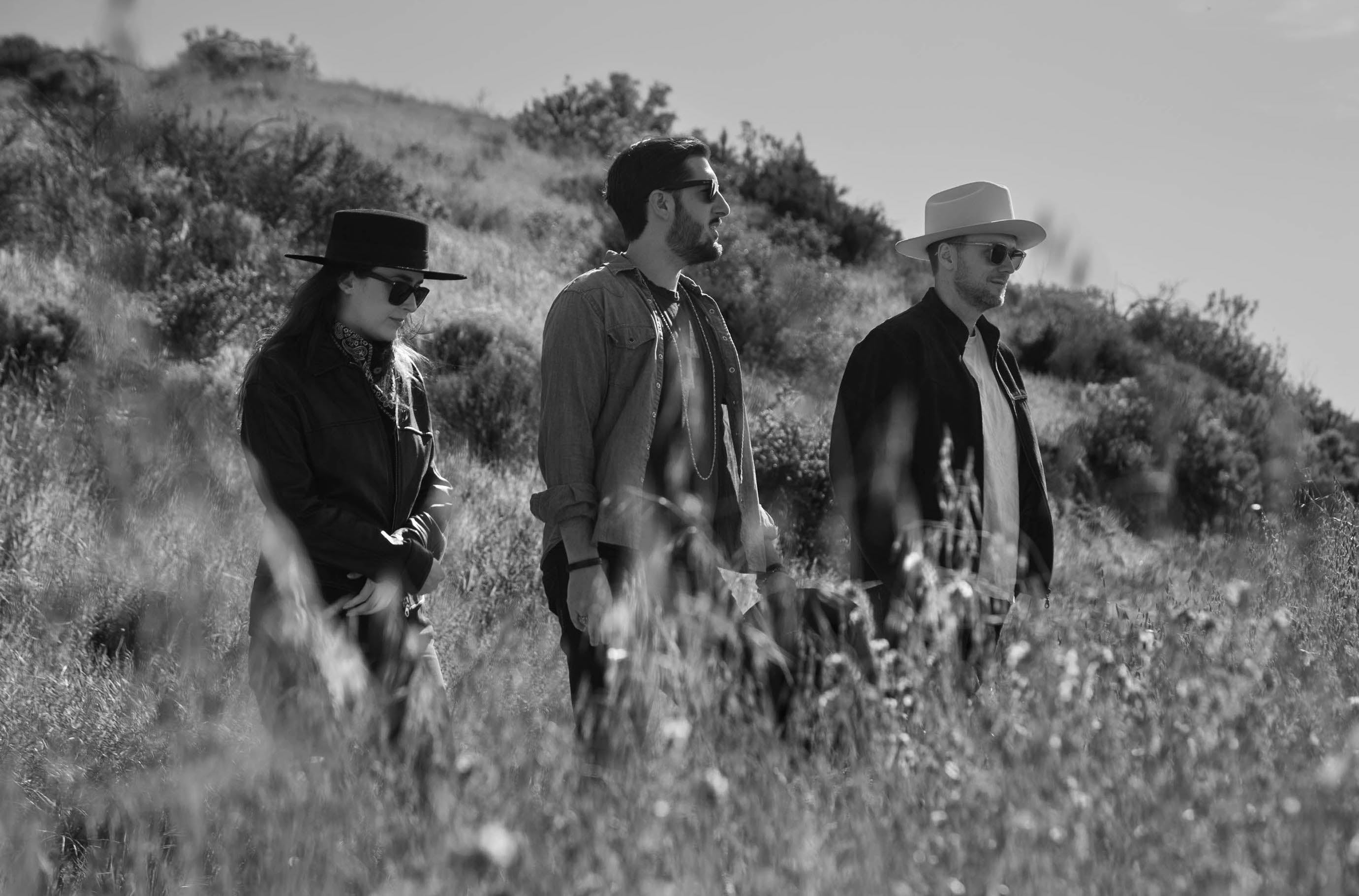 WD-HAN Official Site